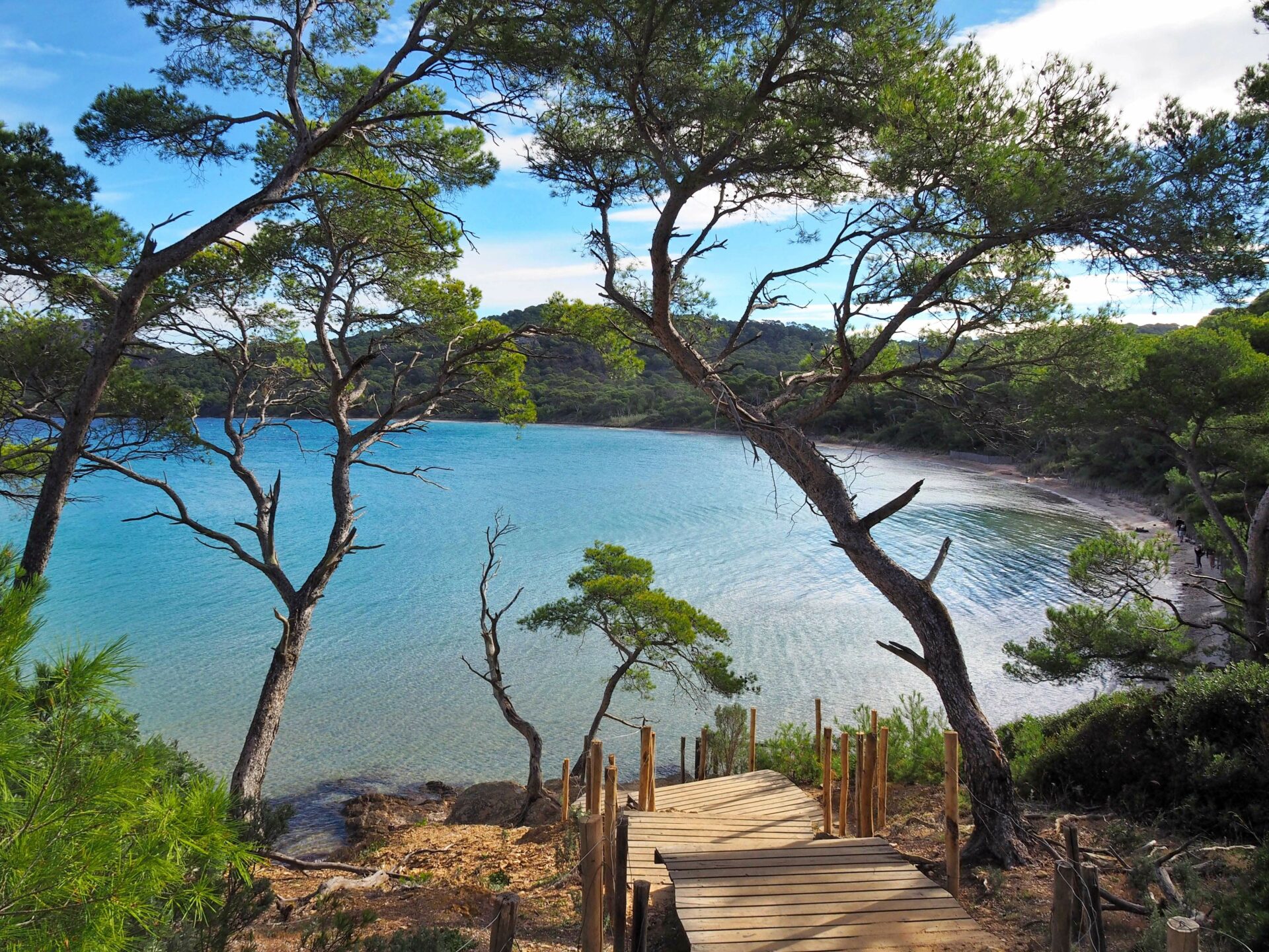 Porquerolles – Unveiling the Myth and Magic of an Enchanting Island Gem ...